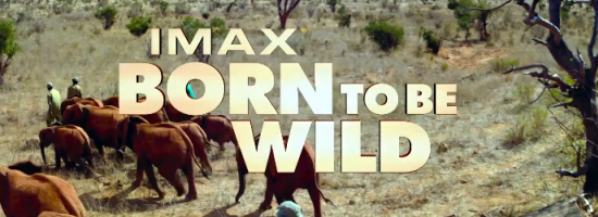 Blu Ray Review: IMAX Born To Be Wild | CHUD.com